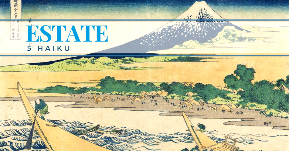 5 haiku sull’estate – La sottile linea d'ombra